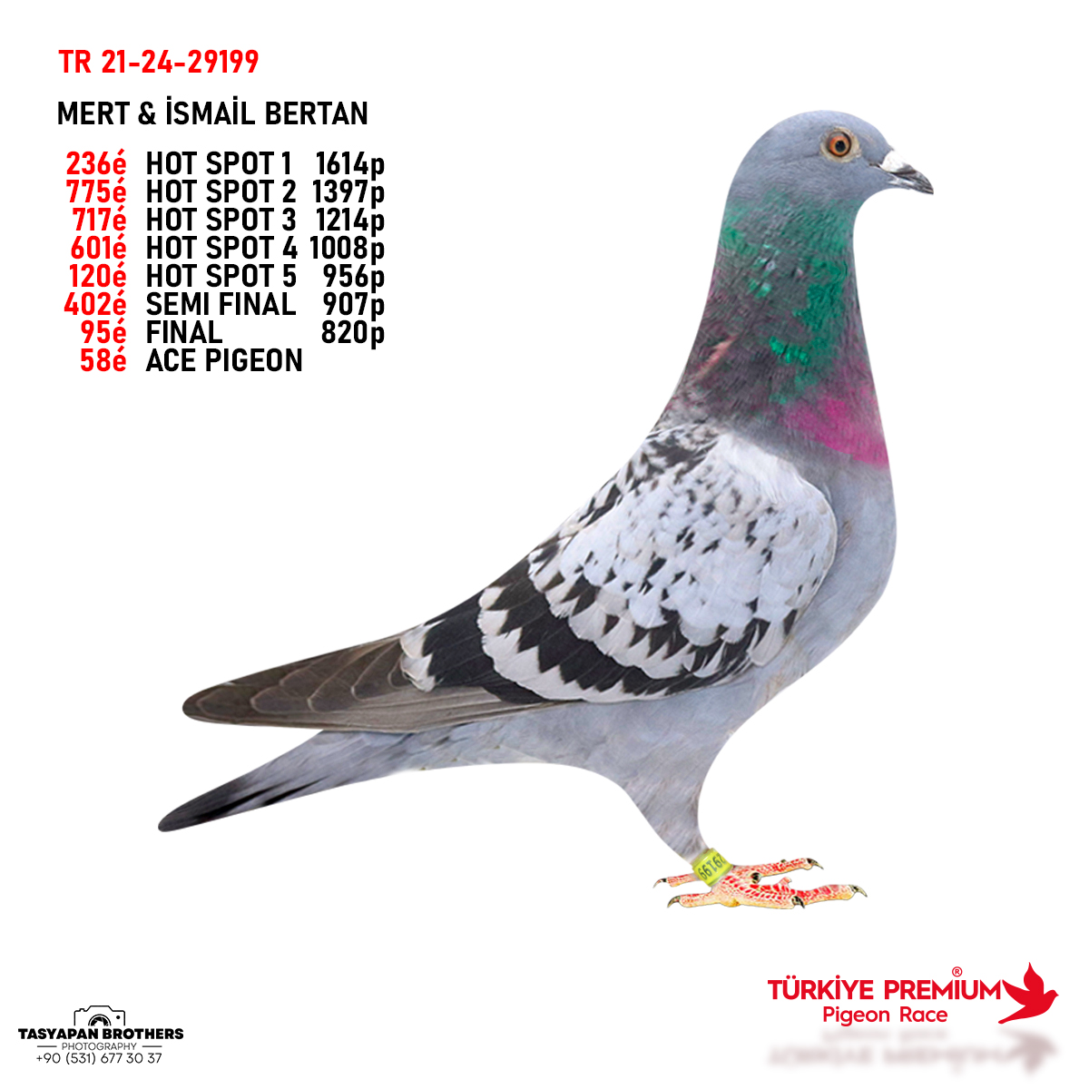 MERT & İSMAİL BERTAN